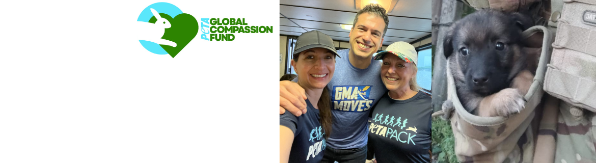 PETA Pack : CELEBRATING WITH Compassion: Jen & Suzie's 5K for Ukraine's Animals